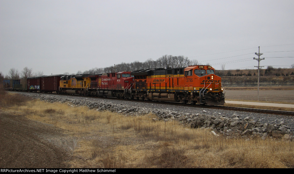 Some Color On A Gloomy Day